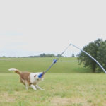 Tether Tug | Interactive Dog Rope Toy That Keeps Your Dog Active All Day