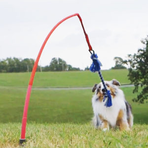 Tether Tug | Interactive Dog Rope Toy That Keeps Your Dog Active All Day