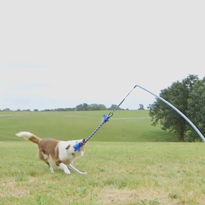 Tether Tug | Interactive Dog Rope Toy That Keeps Your Dog Active All ...