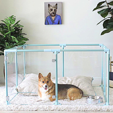 Modern Dog Pens With Clear Acrylic Windows | Clearly Loved Pets