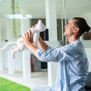 This Interactive Robotic Cat Will Play With You | MarsCat