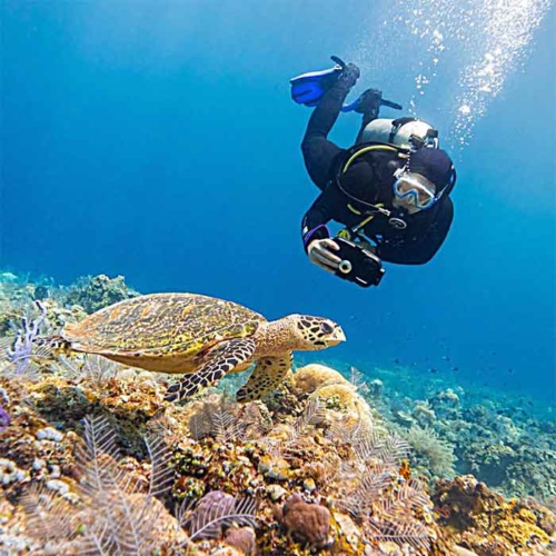 Use Your Smartphone As a Dive Computer With DIVEROID