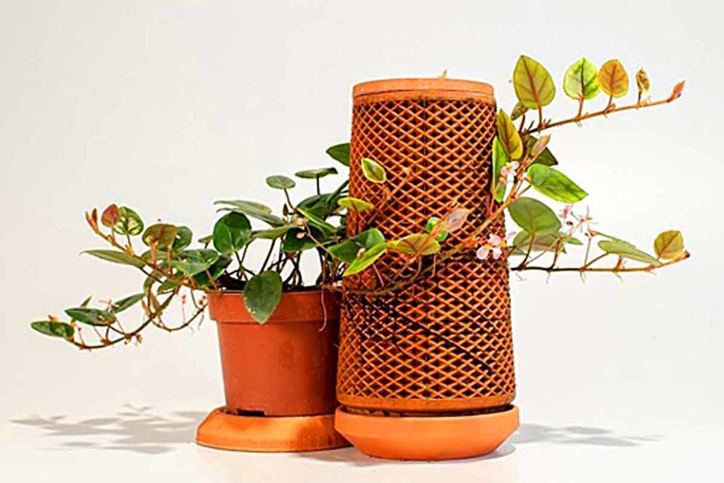 Terraplanter's Indoor Planter Pot Grows Plant Without Soil