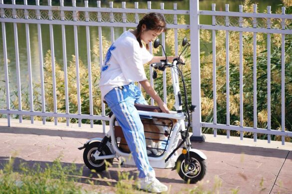 Automatic Pooper Scooper: Single-handed poop scooper device for dogs