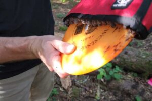 This disc golf cleaning tool may replace your dirty towel